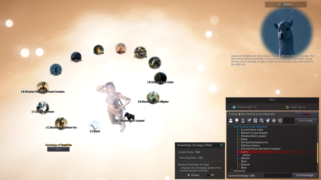 Black Desert Foundry Archaeological Map – EFVGA