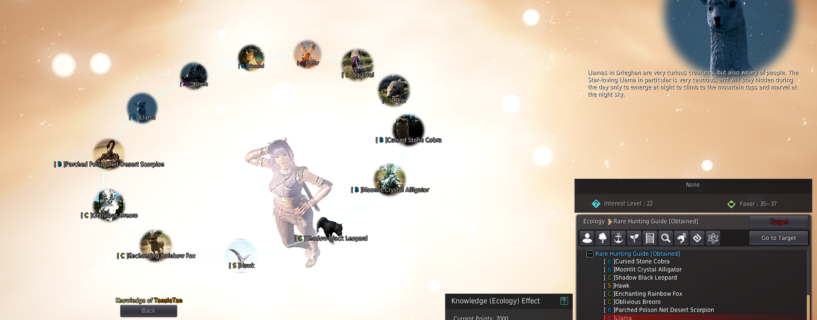 Rare Hunting Knowledge Guide – Black Desert Foundry