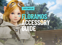 Maegu Class Guide - Black Desert Foundry